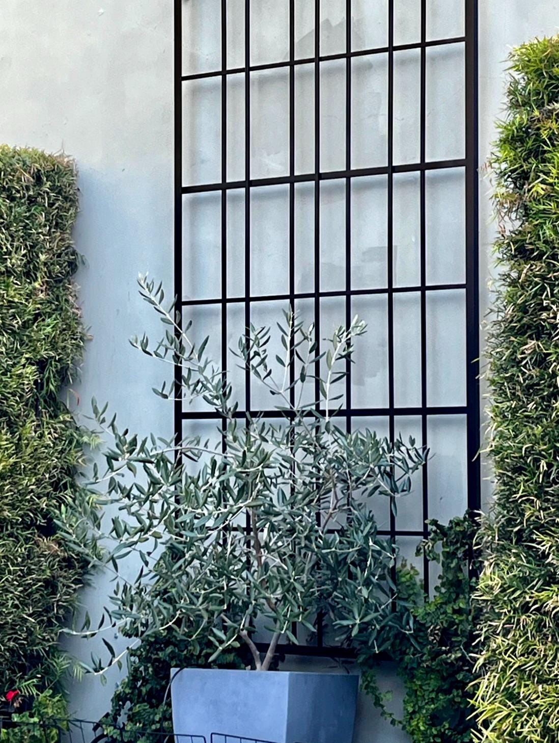 Urban Overlap Square Metal Trellis, Rust-proof Outdoor Trellis for ...
