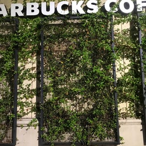 100% Solid Metal Rectangular Grid Trellis, Small Grid Rectangle Grid ...