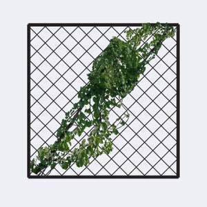 Heavy Gauge Diamond Pattern Trellis for Living Wall, Outdoor Vertical ...