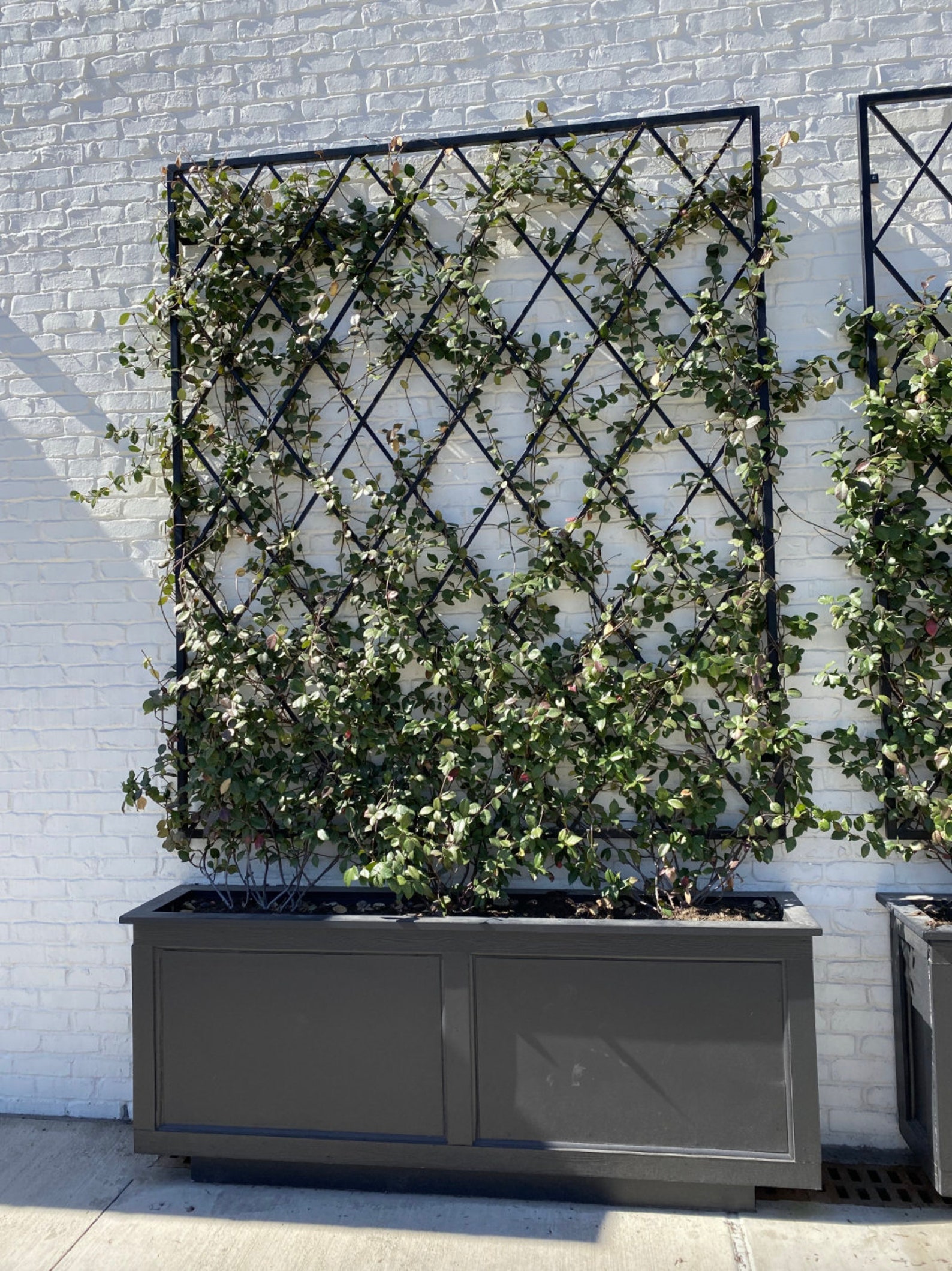 Heavy Gauge Diamond Pattern Trellis for Living Wall, Outdoor Vertical ...