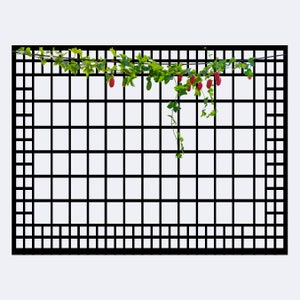 Artisan Made Garden Trellis, Multi Size Square Grid Plant Trellis for ...