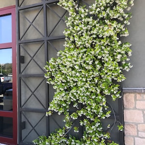 Rustic Barn-style Trellis, Rust-proof Outdoor Trellis for Garden ...