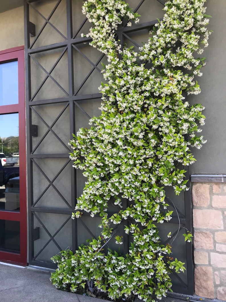 Rustic Barn-style Trellis, Rust-proof Outdoor Trellis for Garden ...