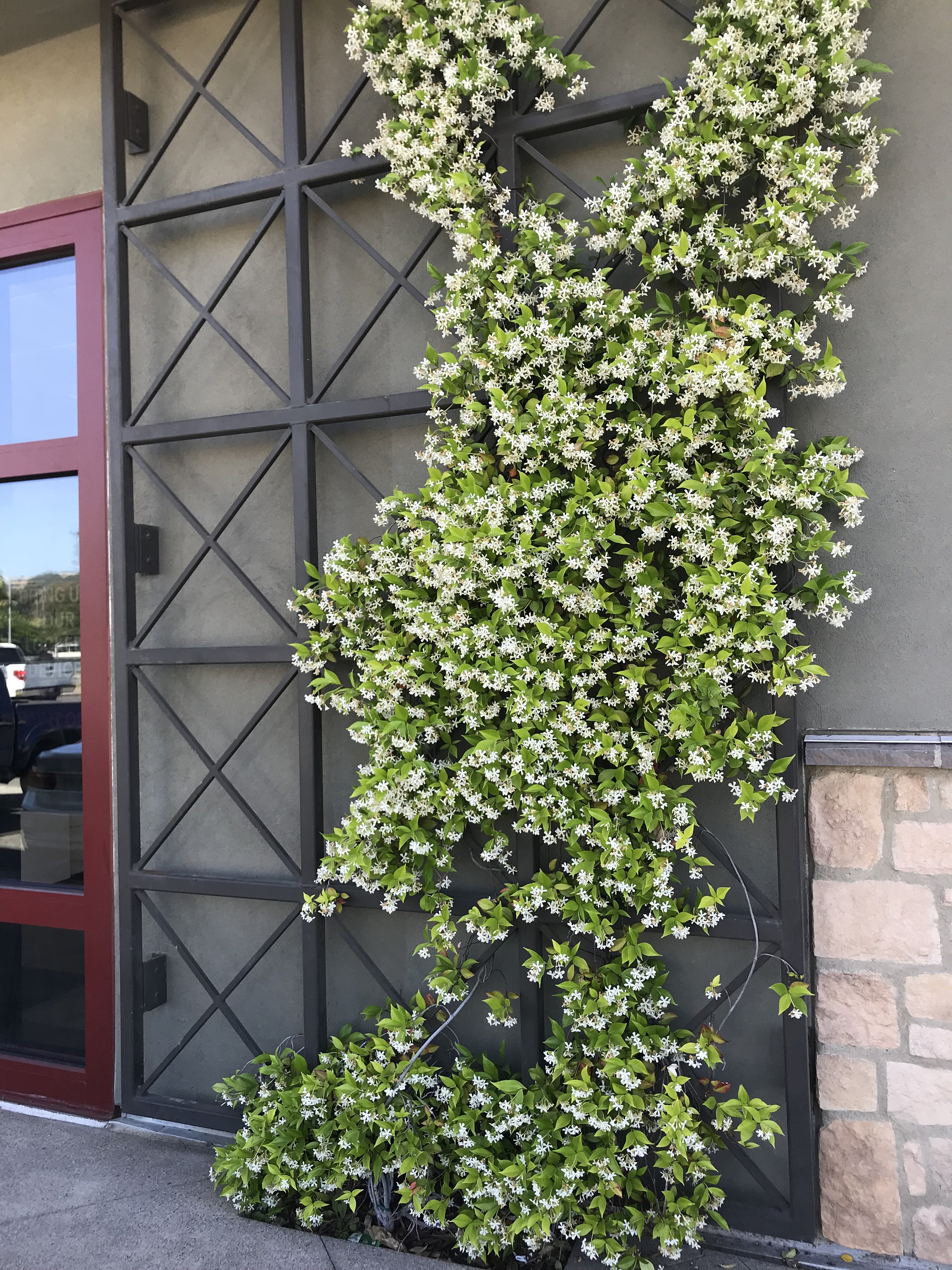 Rustic Barn-style Trellis, Rust-proof Outdoor Trellis for Garden ...