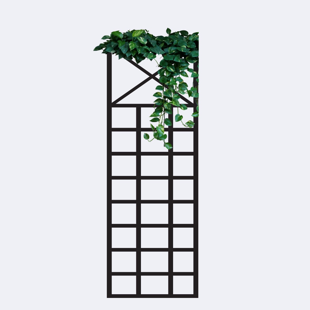Trellis for Pillar / Columns, Rustic X Style Garden Trellis for Growing ...