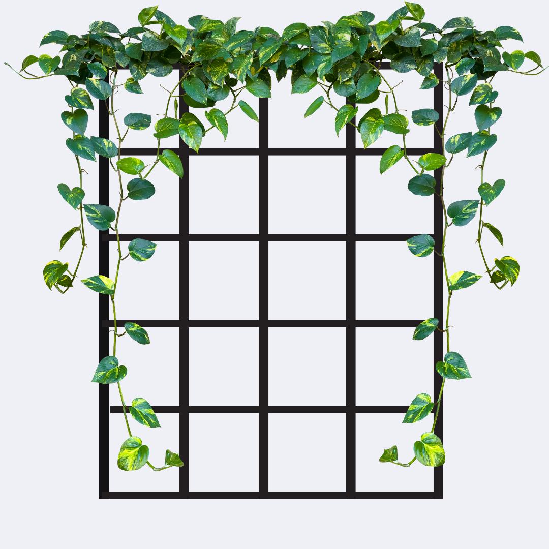 Classic Square Bar Trellis, Square Gridwall Panel, Heavy Duty Metal ...
