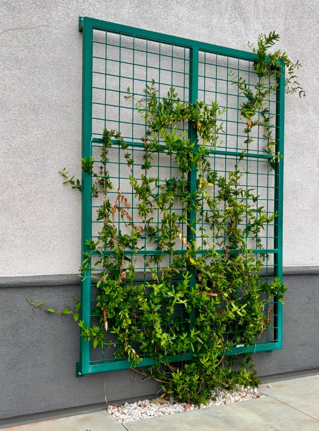 Hand Welded Square Grid Garden Trellis, Heavy Duty Outdoor Garden ...