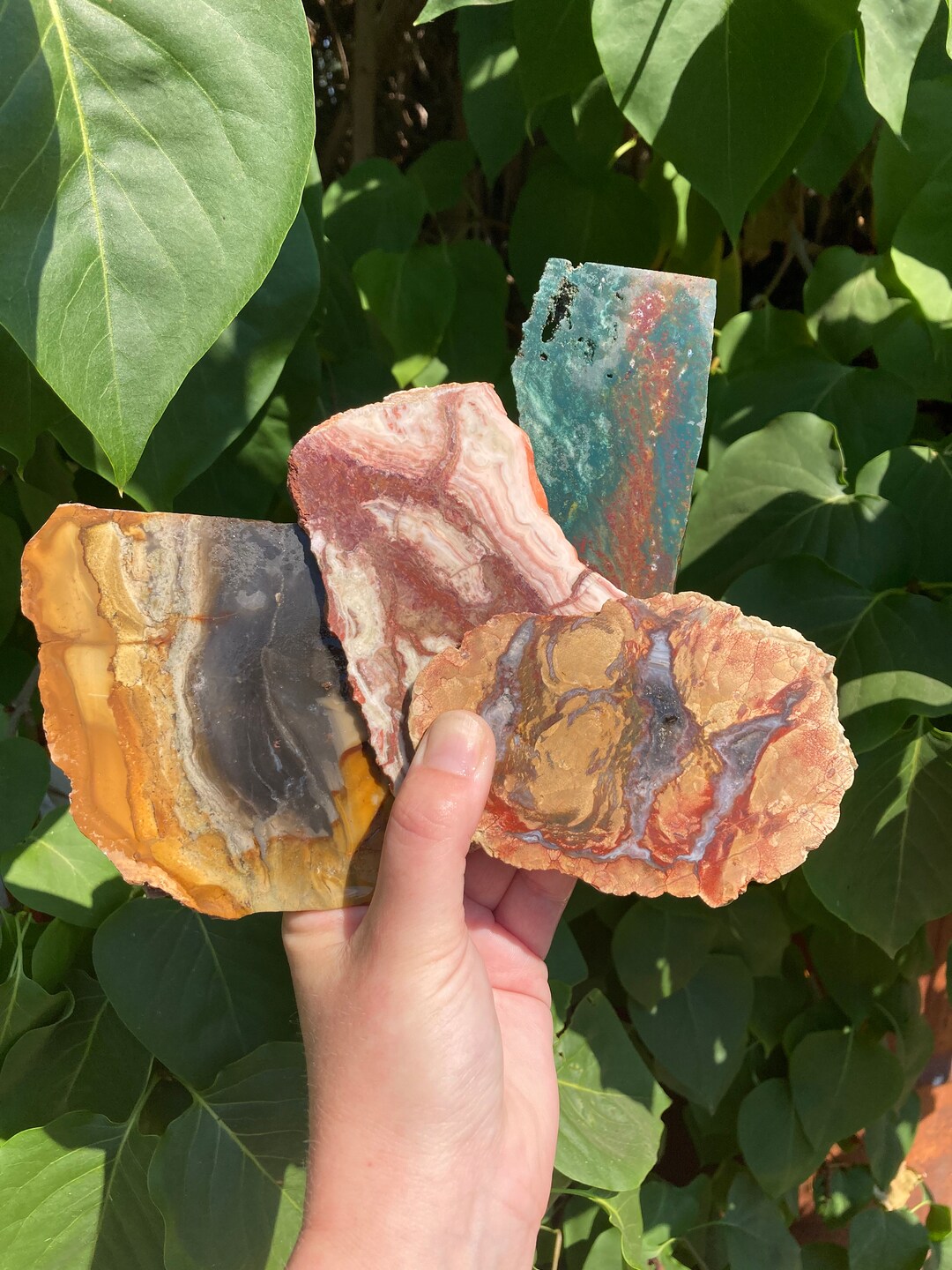 Bag of Mystery Slabs Cabbing Slabs Lapidary Slabs Raw - Etsy