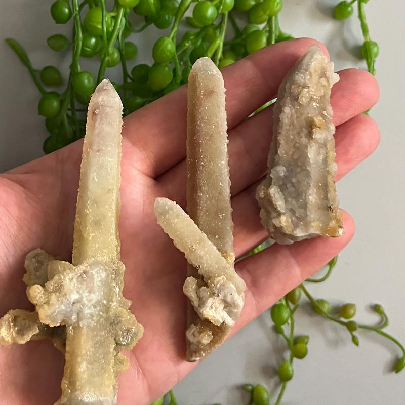 Witches Finger - Etsy