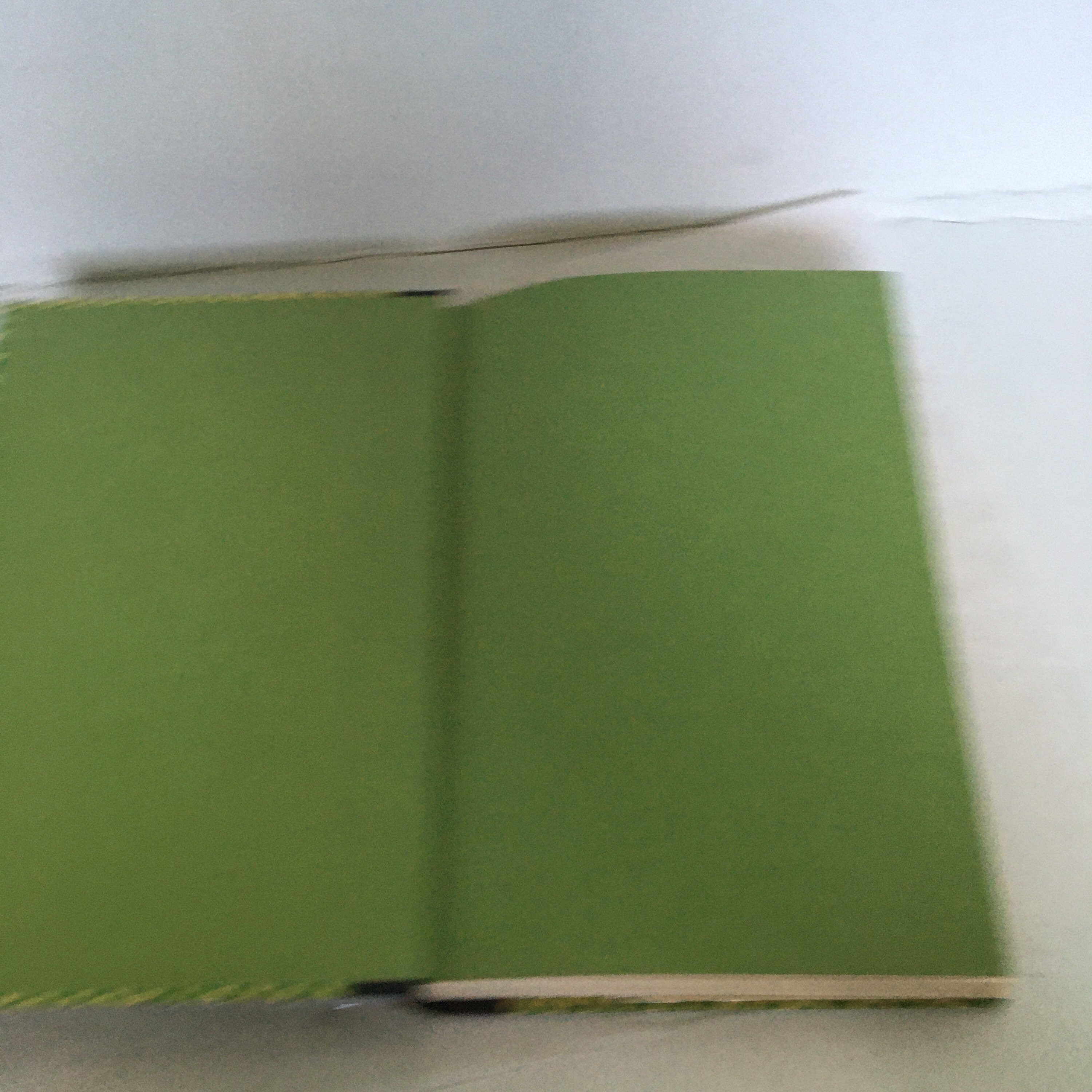Two Flamboyant Fathers — 1966 Hardcover With Dustjacket - Etsy