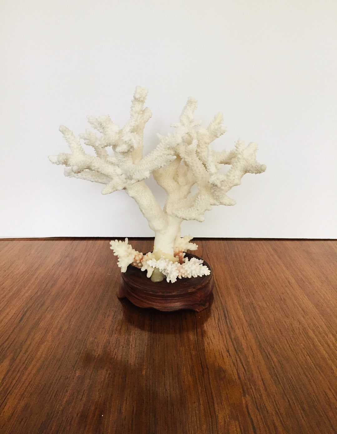 Vintage, Retro, White, Coral Tree on Wood Base. - Etsy