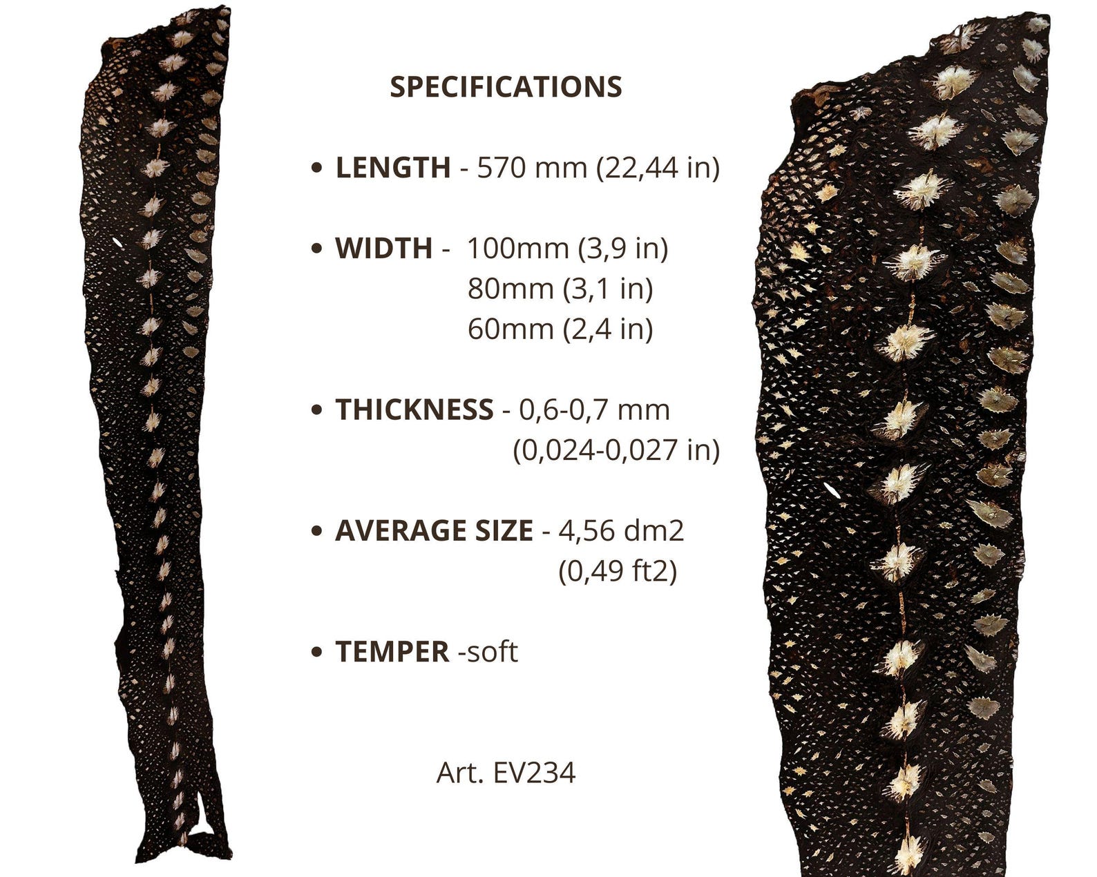 Exotic Fish Leather Hides for Crafts, Decor Needs, Creative Leather ...