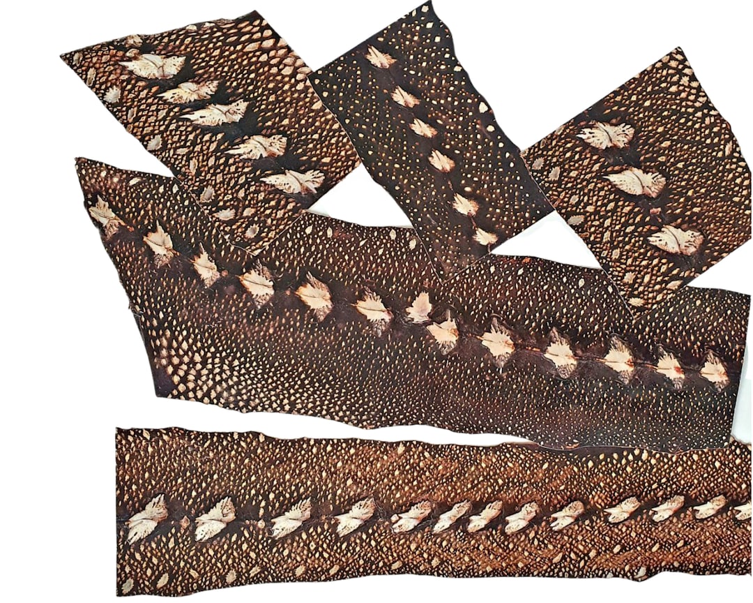 Pre-cut Sturgeon Leather Pieces, Fish Skin for Crafts, DIY Projects ...