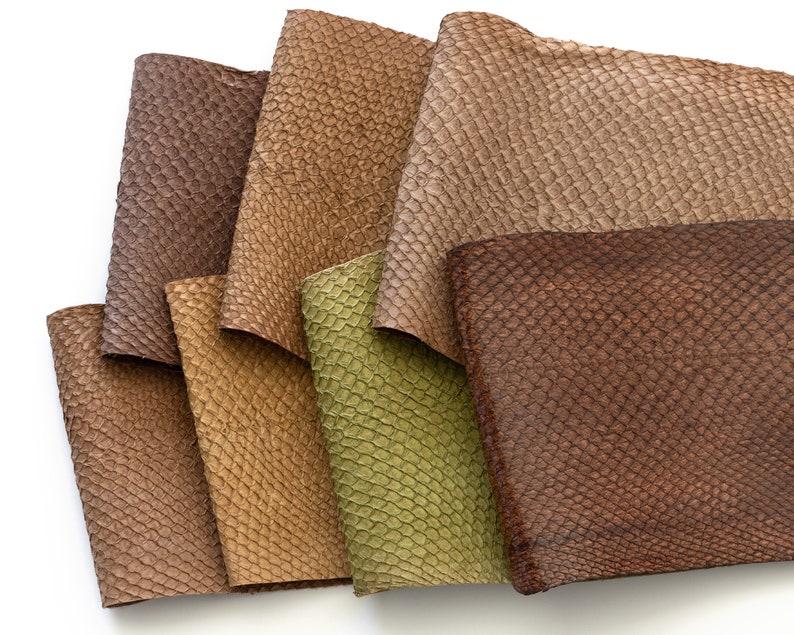 Salmon Fish Leather of Different Colors - Etsy