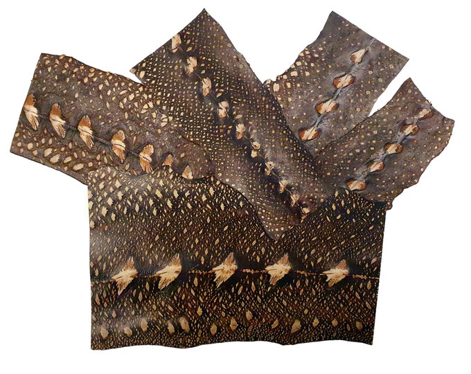 Pre-cut Fish Leather Pieces, Exotic Leather, Leather Craft Supply ...