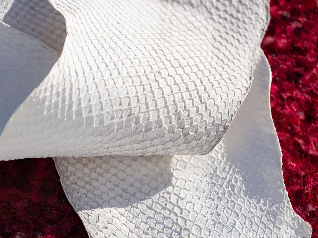 White Salmon Fish Leather Leather for Inlays Bags Wallets - Etsy