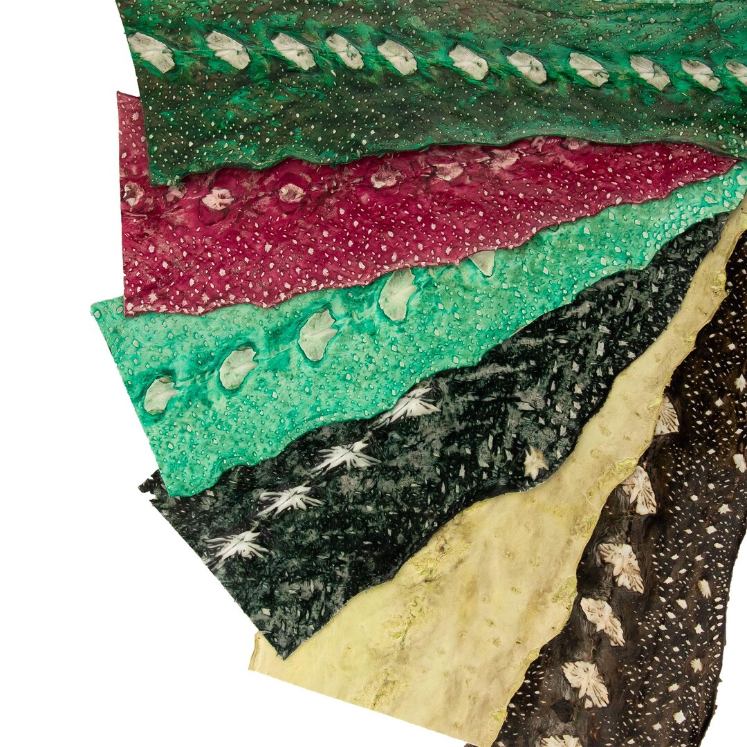 Fish Skin Pre-cut Sturgeon Leather Pieces, Fish Leather Cuts, Leather ...