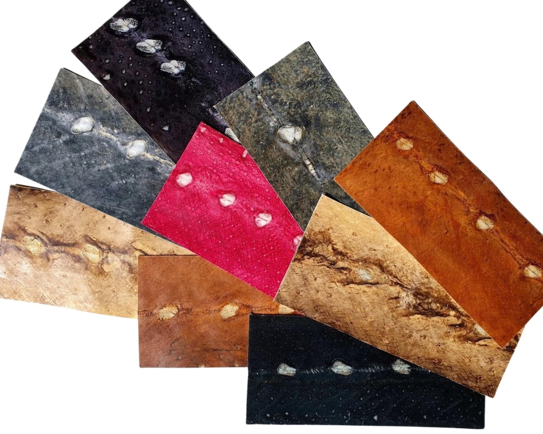 Fish Skin Pre-cut Sturgeon Leather Pieces, Fish Leather Cuts, Leather ...