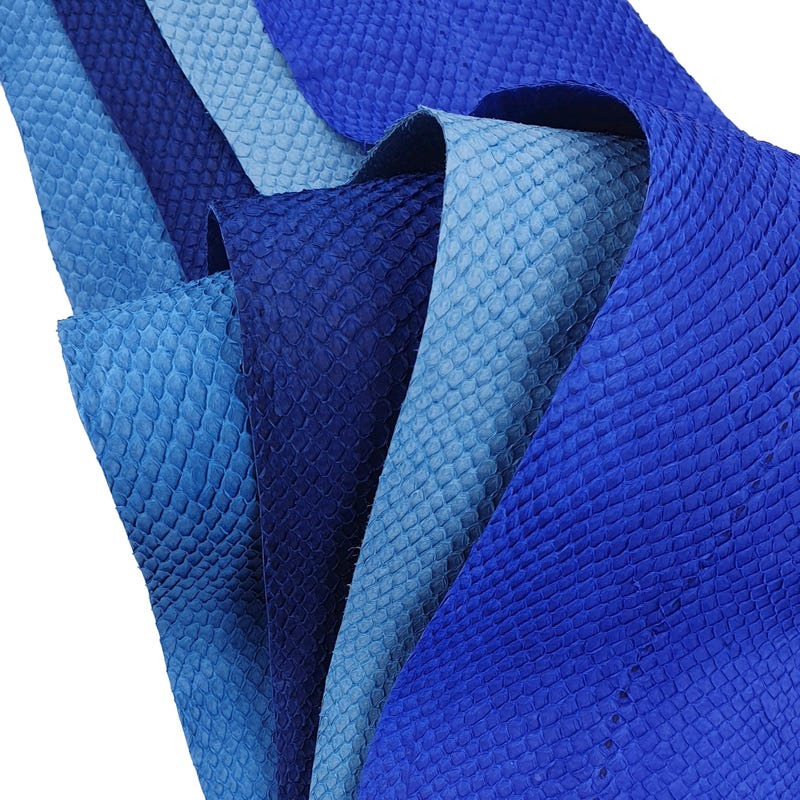 Fish Skin Leather - Etsy