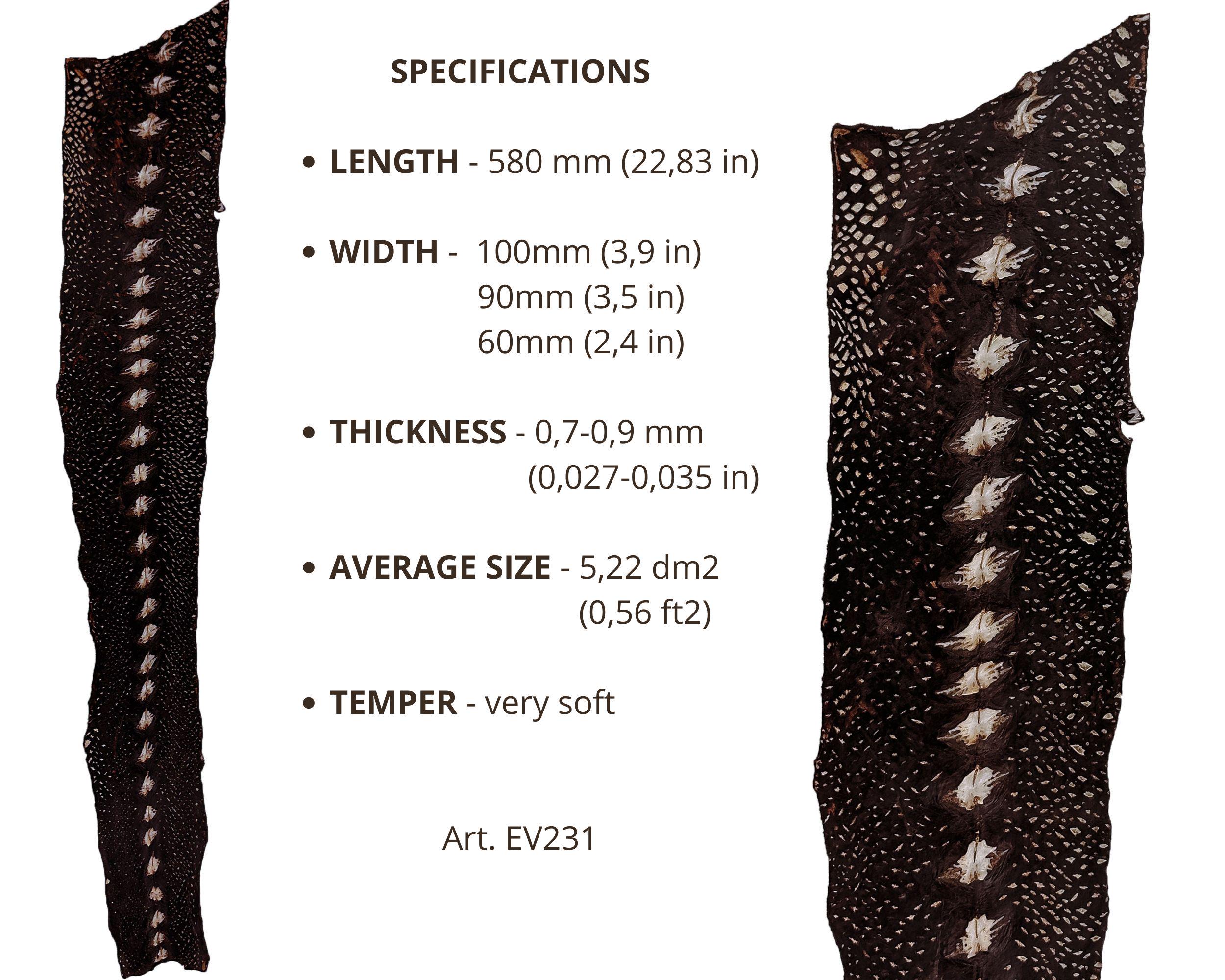 Exotic Fish Leather Hides for Crafts, Decor Needs, Creative Leather ...