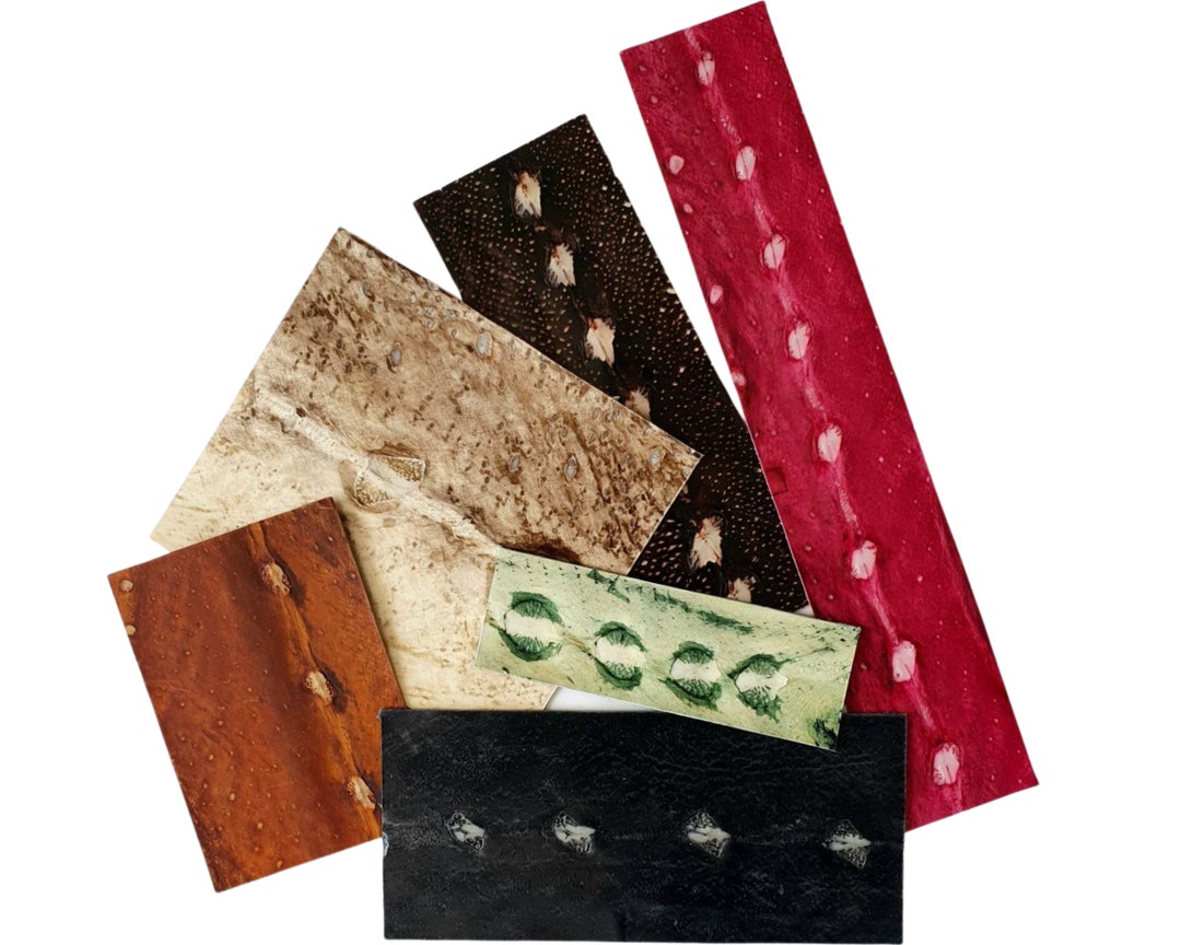 Fish Skin Pre-cut Sturgeon Leather Pieces, Leather for Inlays, Decor ...