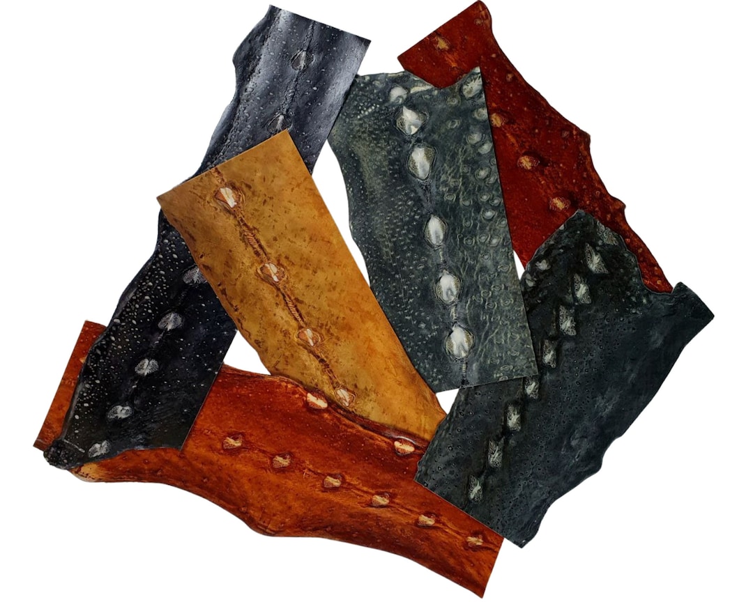 Fish Skin Pre-cut Sturgeon Leather Pieces, Fish Leather Cuts, Leather ...