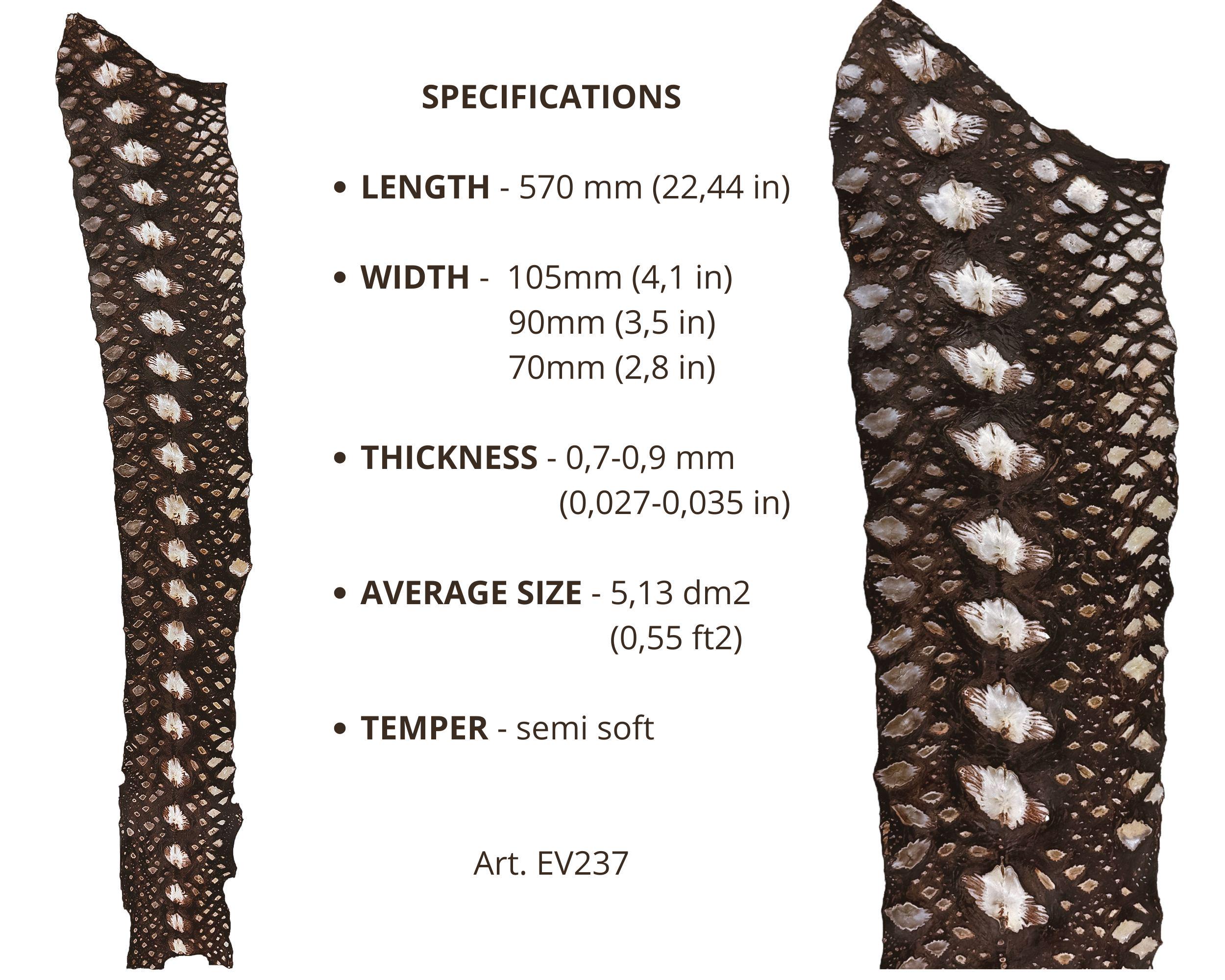 Exotic Fish Leather Hides for Crafts, Decor Needs, Creative Leather ...