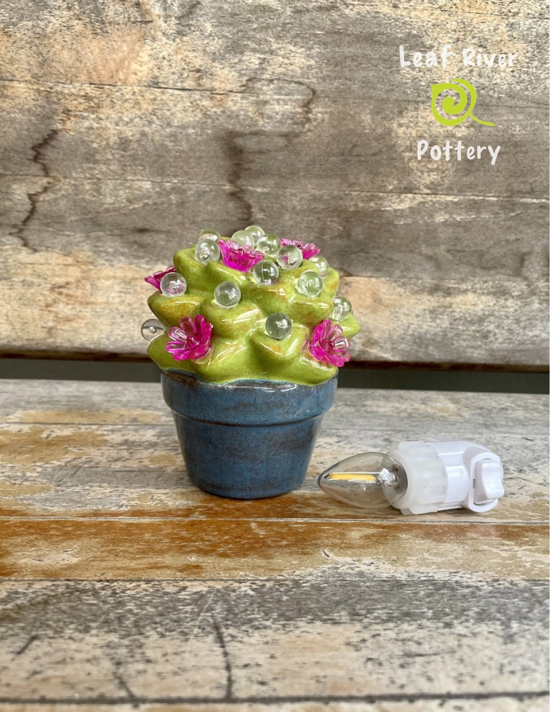 Ceramic Succulent Night Light - Etsy