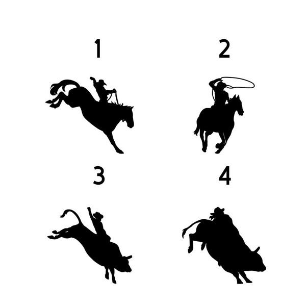 Rodeo Decals - Etsy