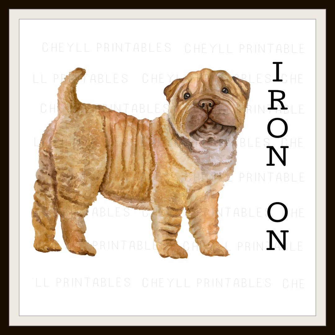 Shar Pei Transparent Iron on Dog Decal Sticker - Etsy