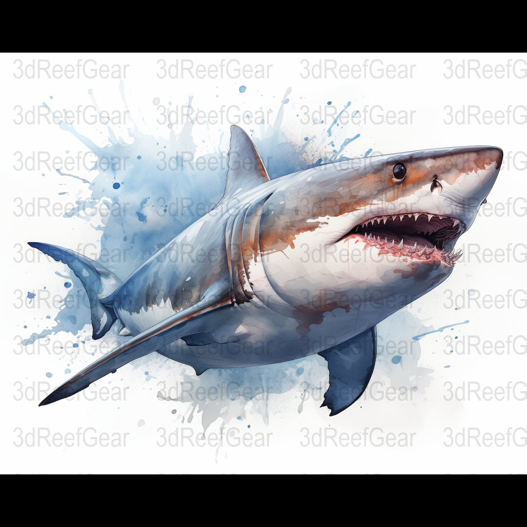 Great White Shark Watercolor - Digital Download - Etsy