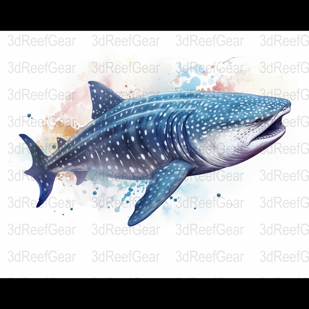Whale Shark Watercolor - Digital Download - Etsy