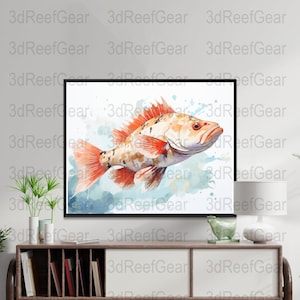 Cod Watercolor - Digital Download - Etsy