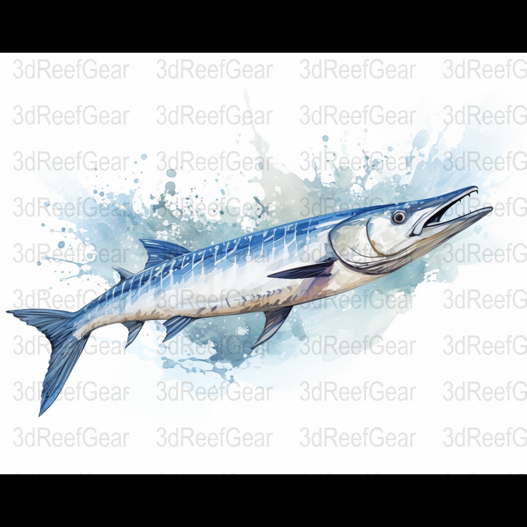 Barracuda Watercolor - Digital Download - Etsy