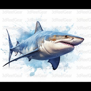 Tiger Shark Watercolor - Digital Download - Etsy