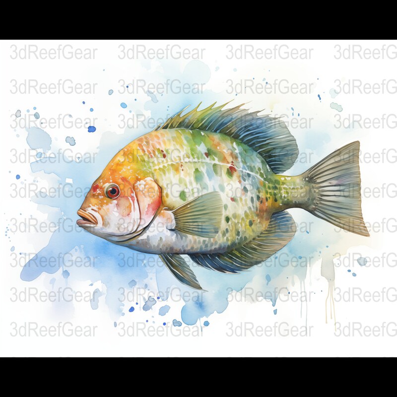 Sunfish Painting - Etsy