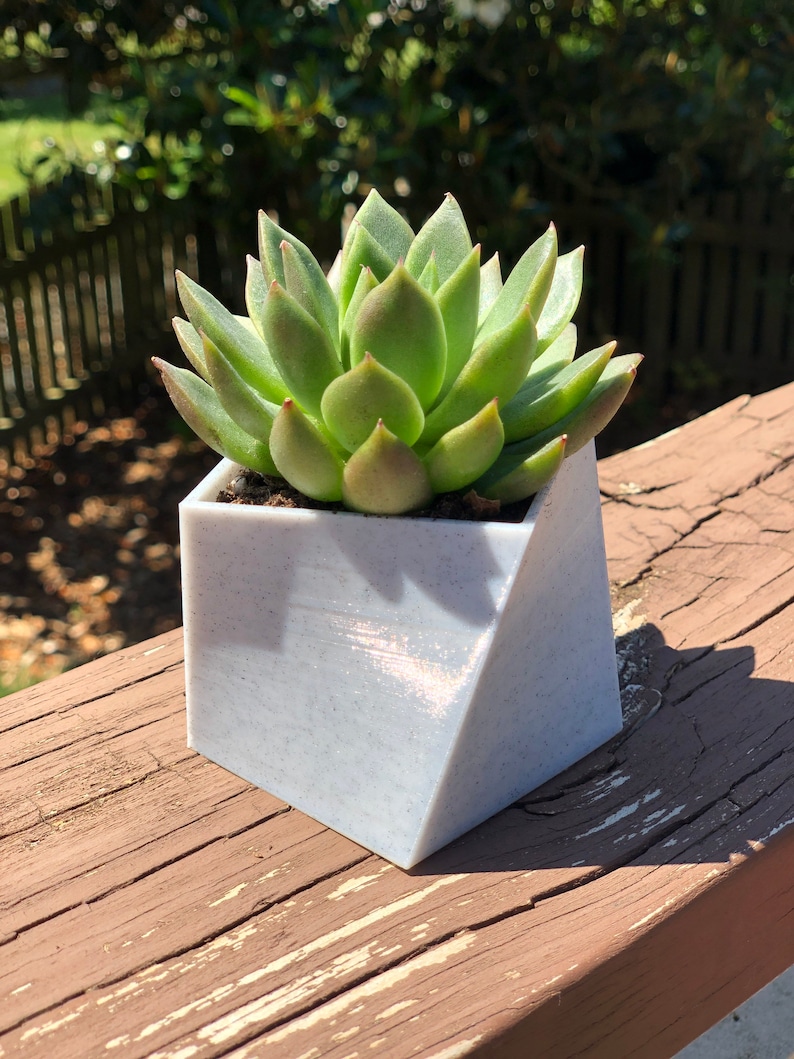 Square Twisting Planter Succulent Plant Pot Geometric - Etsy