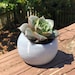 Circular Round Planter Angled Top | Succulent Plant Pot | Geometric ...