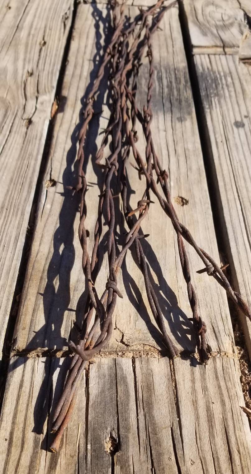 Five Rusty Barbd Wire Strands - Etsy
