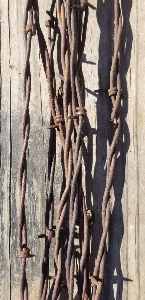 Five Rusty Barbd Wire Strands - Etsy