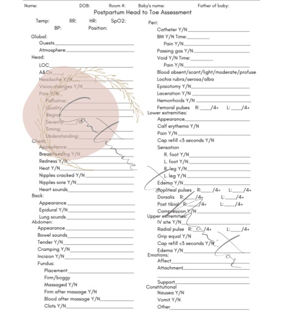 Postpartum Nursing Assessment Brain Sheet - Etsy