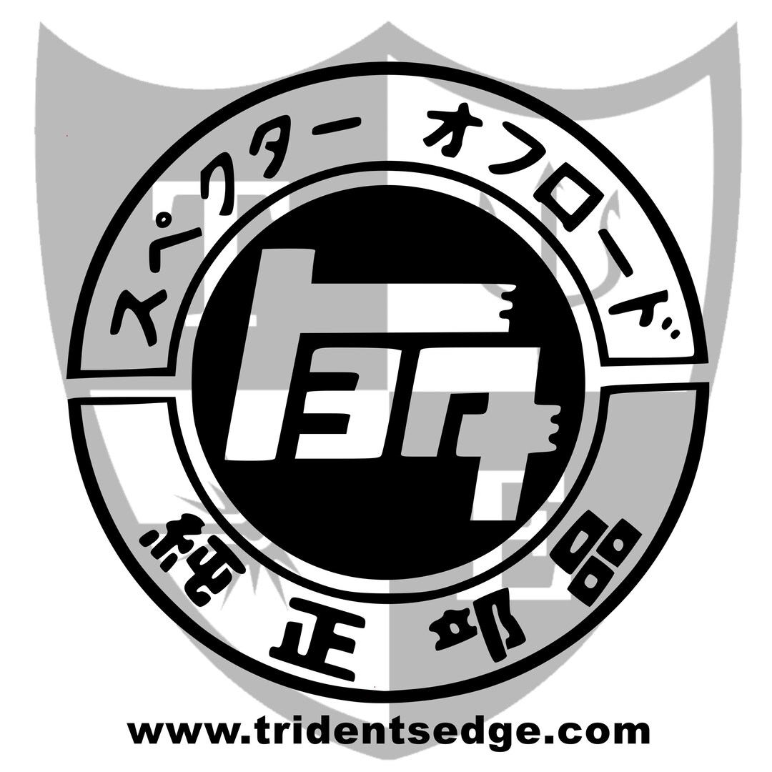 Retro Toyota Logo - Etsy