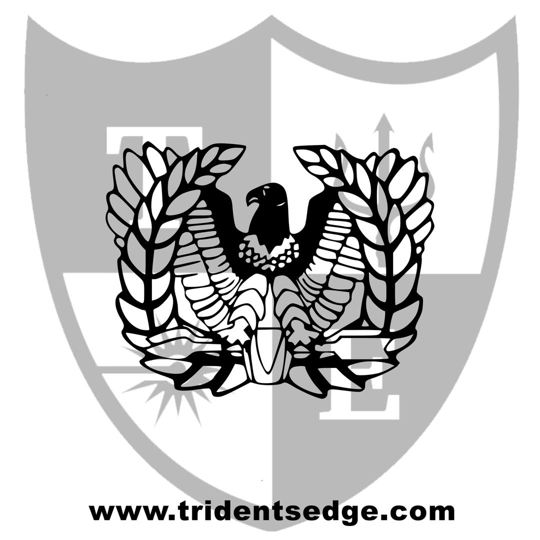 U.S. Army Warrant Officer Insignia - Original - Etsy