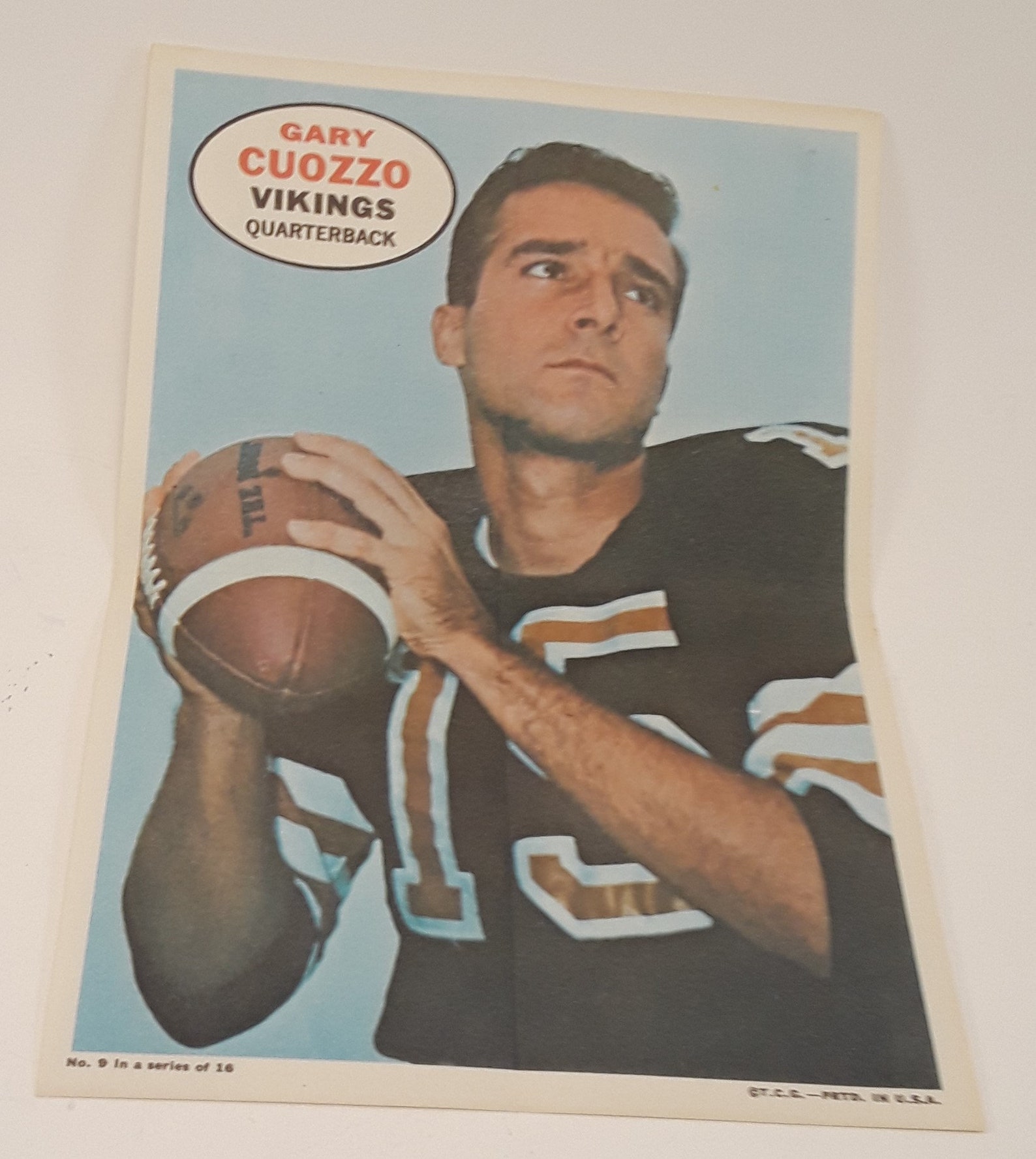 Topps 1969 Football Poster Gary Cuozzo Minnesota Vikings FREE - Etsy