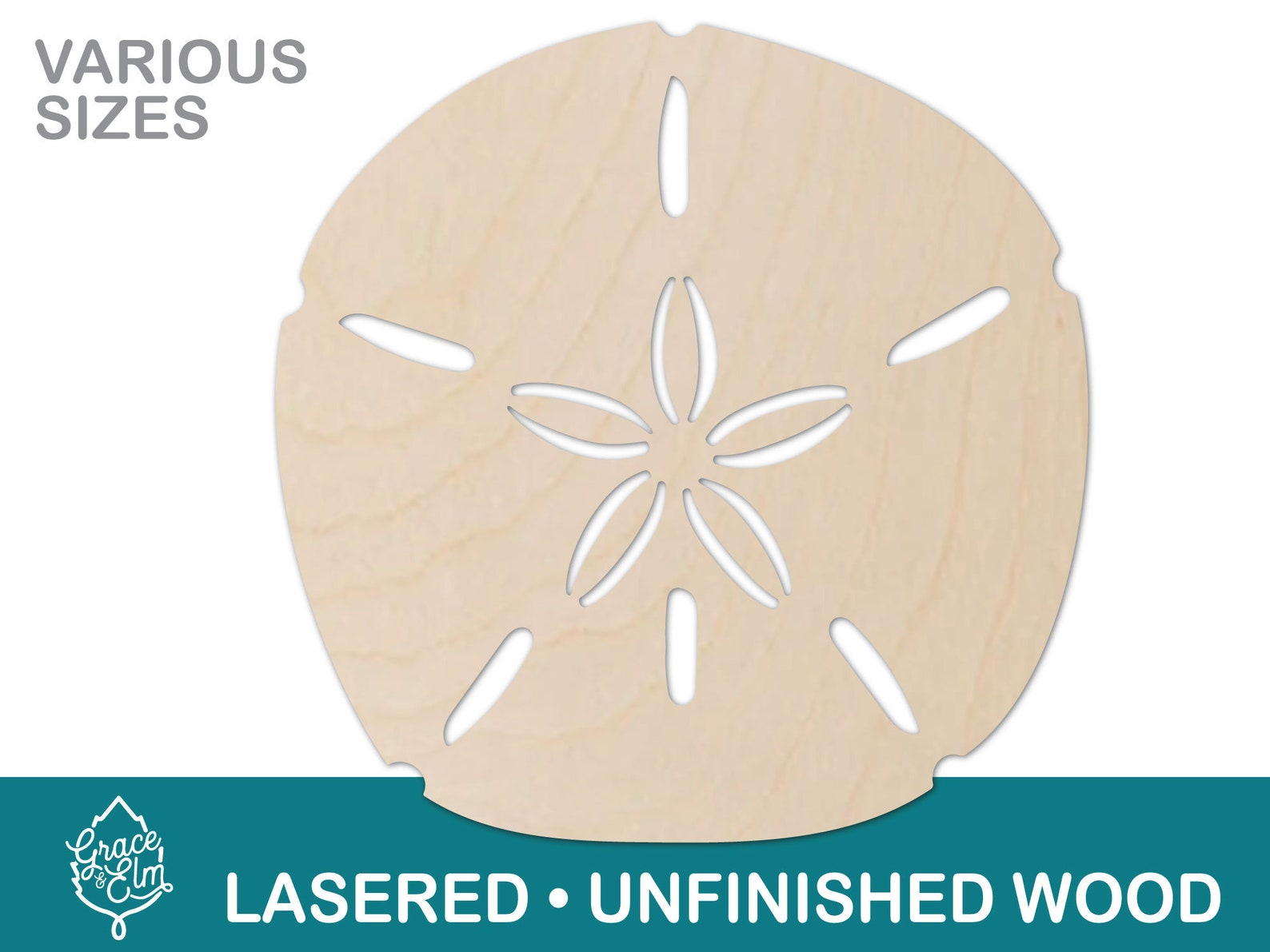 Sand Dollar Laser Cut Sand Dollar Beach Decor Laser Cut Shapes Create ...
