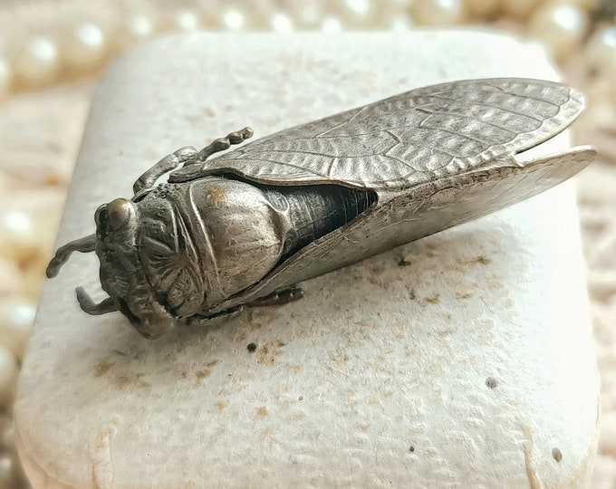 RARE Antique C1900s French Art Nouveau Realistic Cicada Silvered Brooch ...