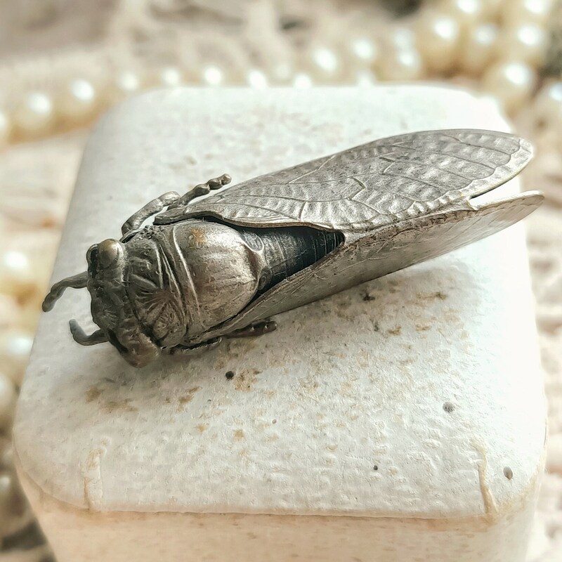 Cicada Brooch - Etsy