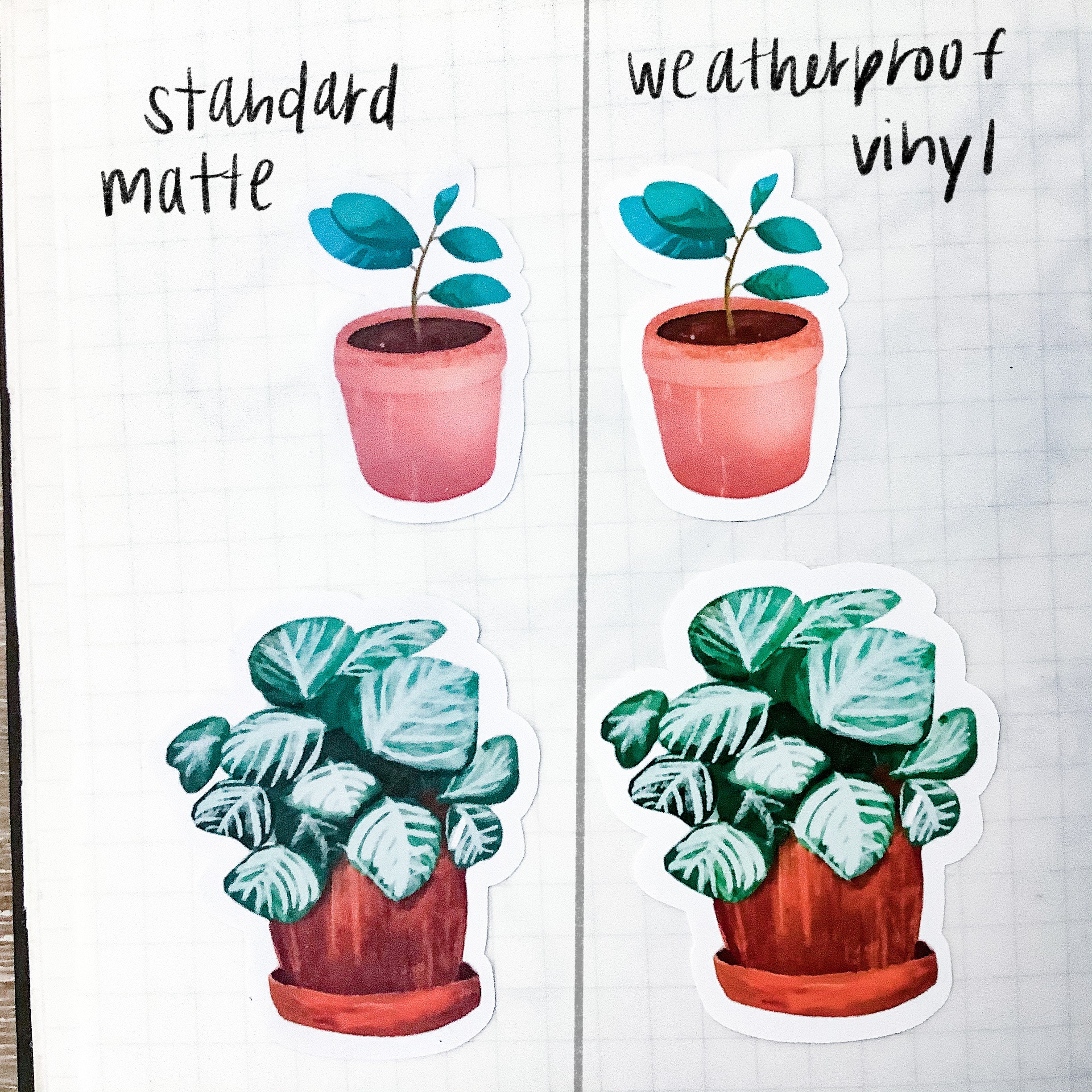 Botanical Plant Sticker Sheet for Plant Lover Great for Bujo - Etsy