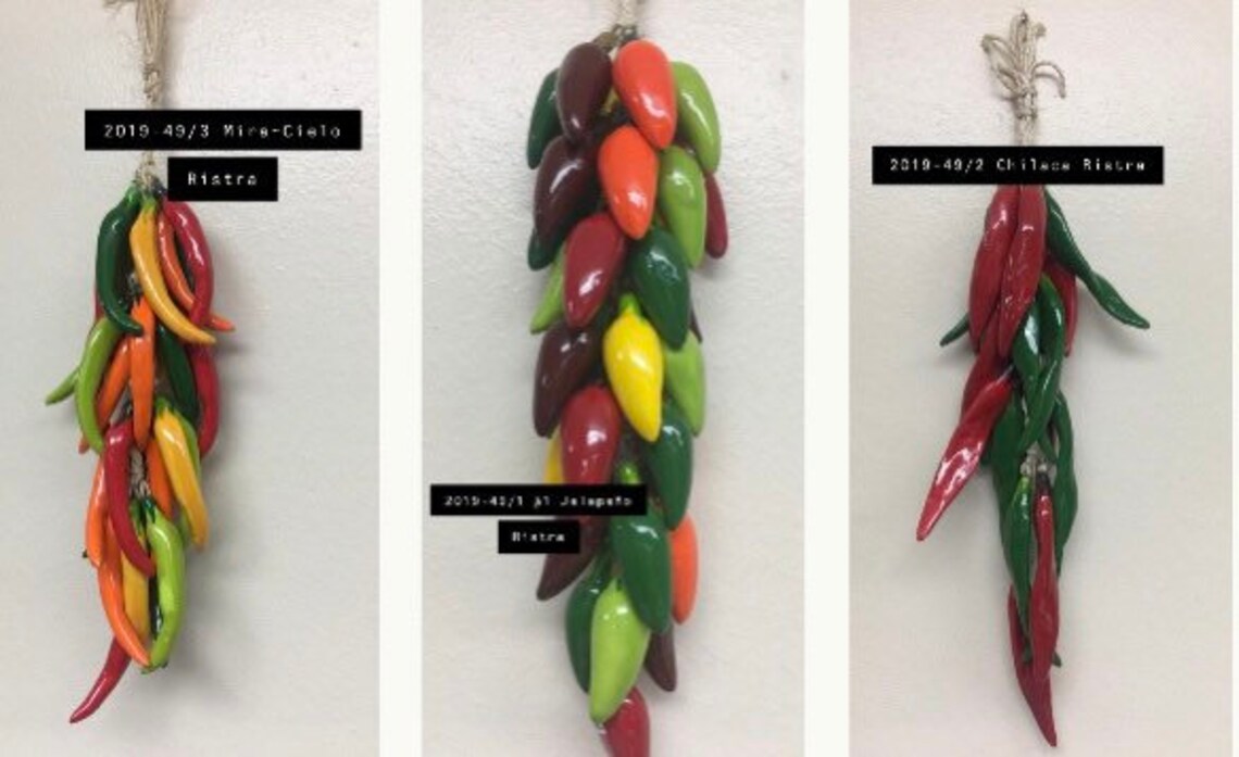 12 Mexican Chili Ristras Ceramic Chilis Hanging Ornaments - Etsy