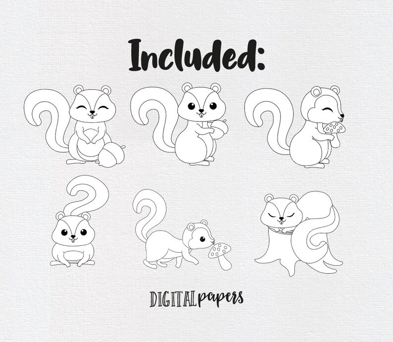 Squirrel Clipart Outlines: Woodland Animal Graphics (instant Download ...